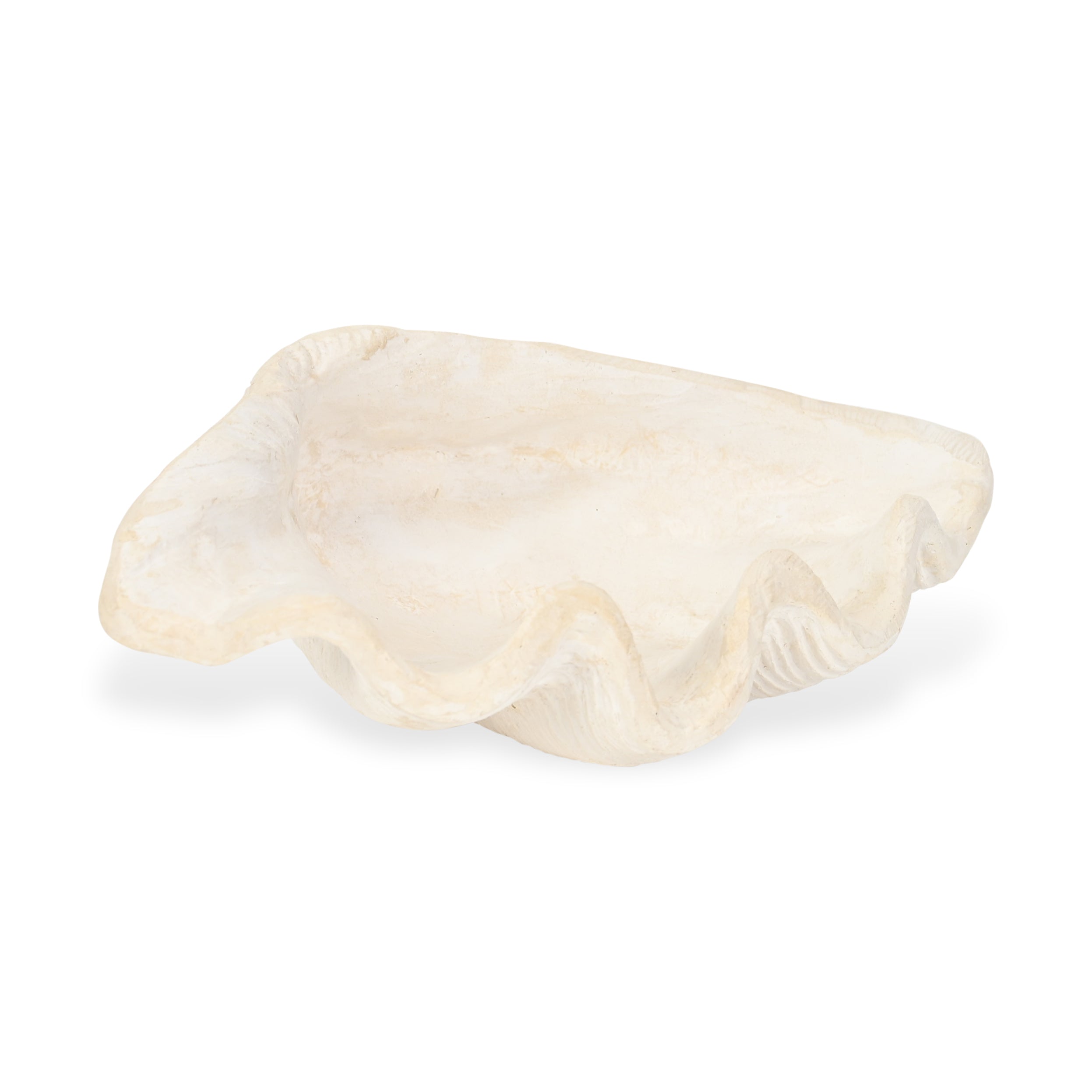 6134 - Vail Sea Shell Catchall Tray – Cheungs